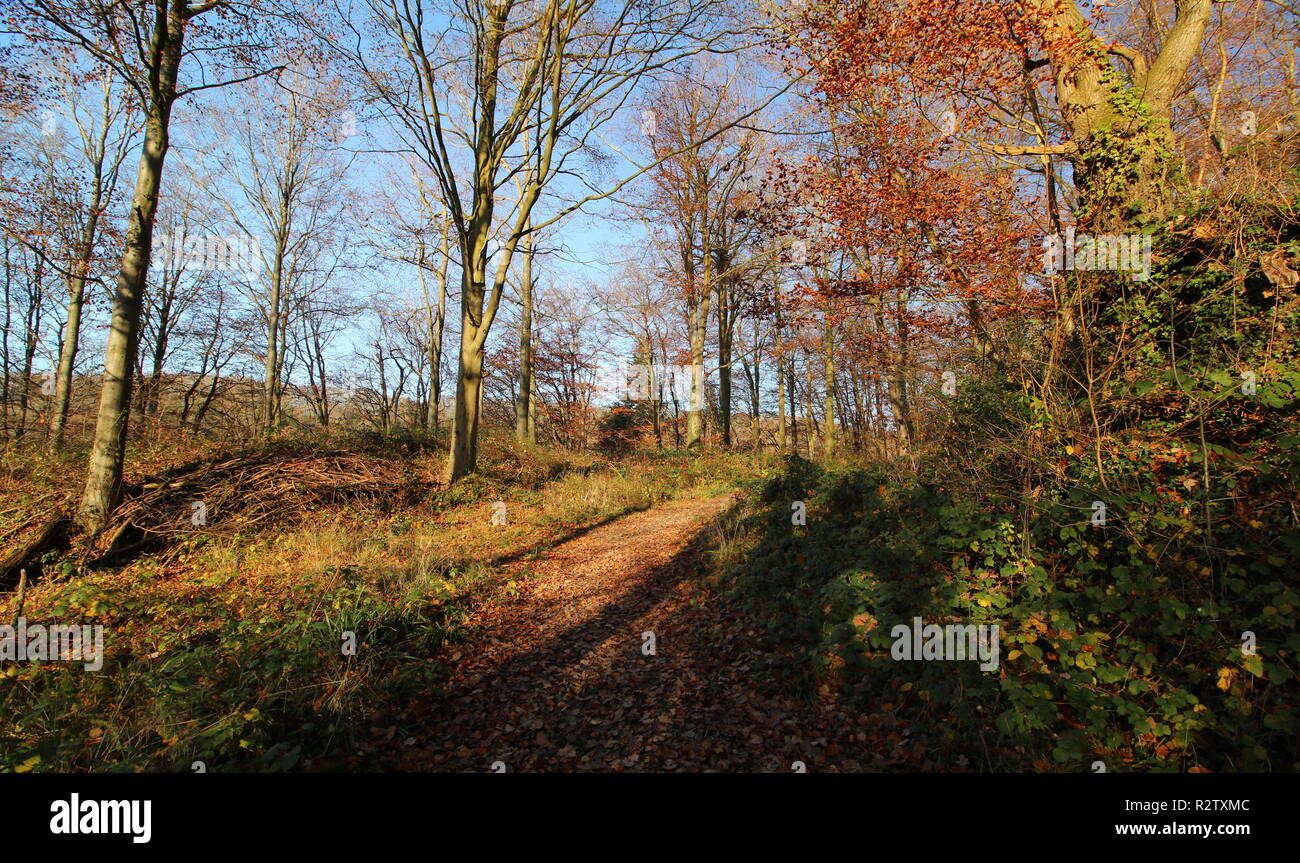 Haugh hi-res stock photography and images - Alamy