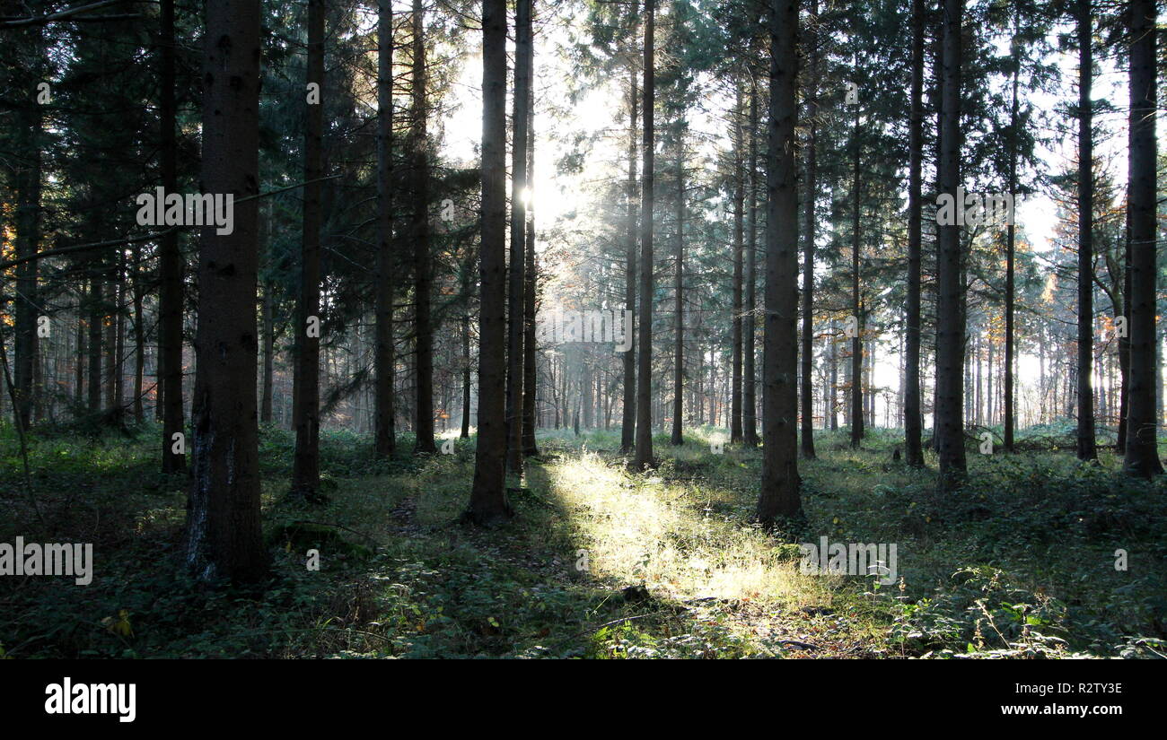 The haugh hi-res stock photography and images - Alamy