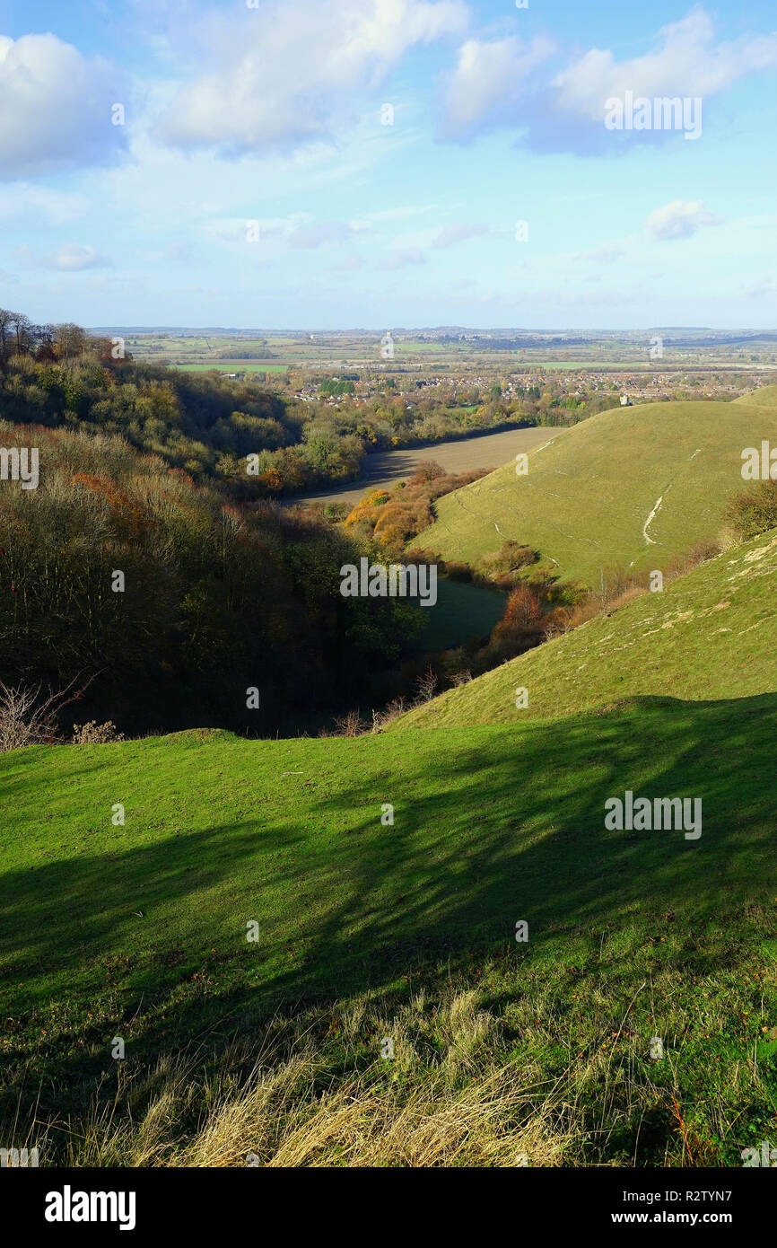 Coombe hill nature reserve hi-res stock photography and images - Alamy
