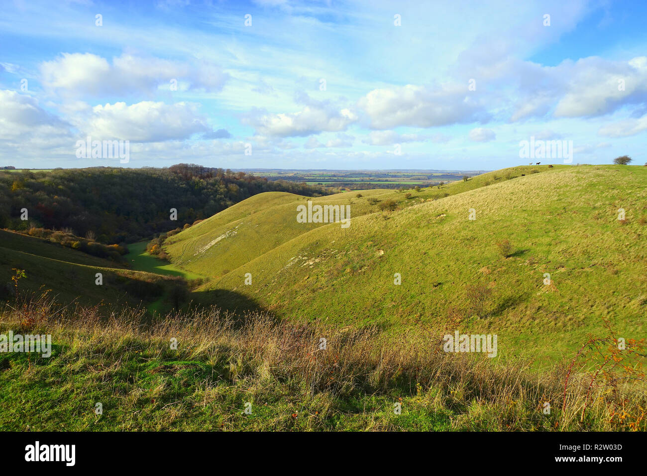 Coombe hill wood hi-res stock photography and images - Alamy
