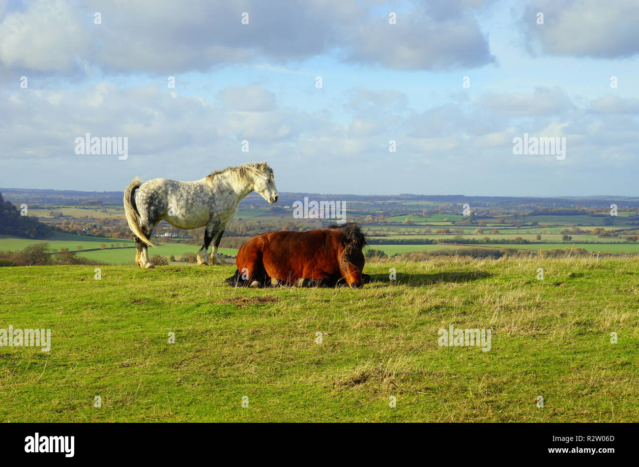 Barton hill hi-res stock photography and images - Alamy