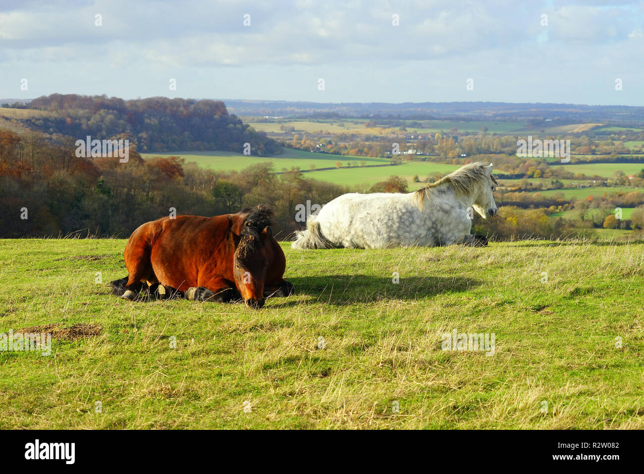 Barton nature reserve hi-res stock photography and images - Alamy