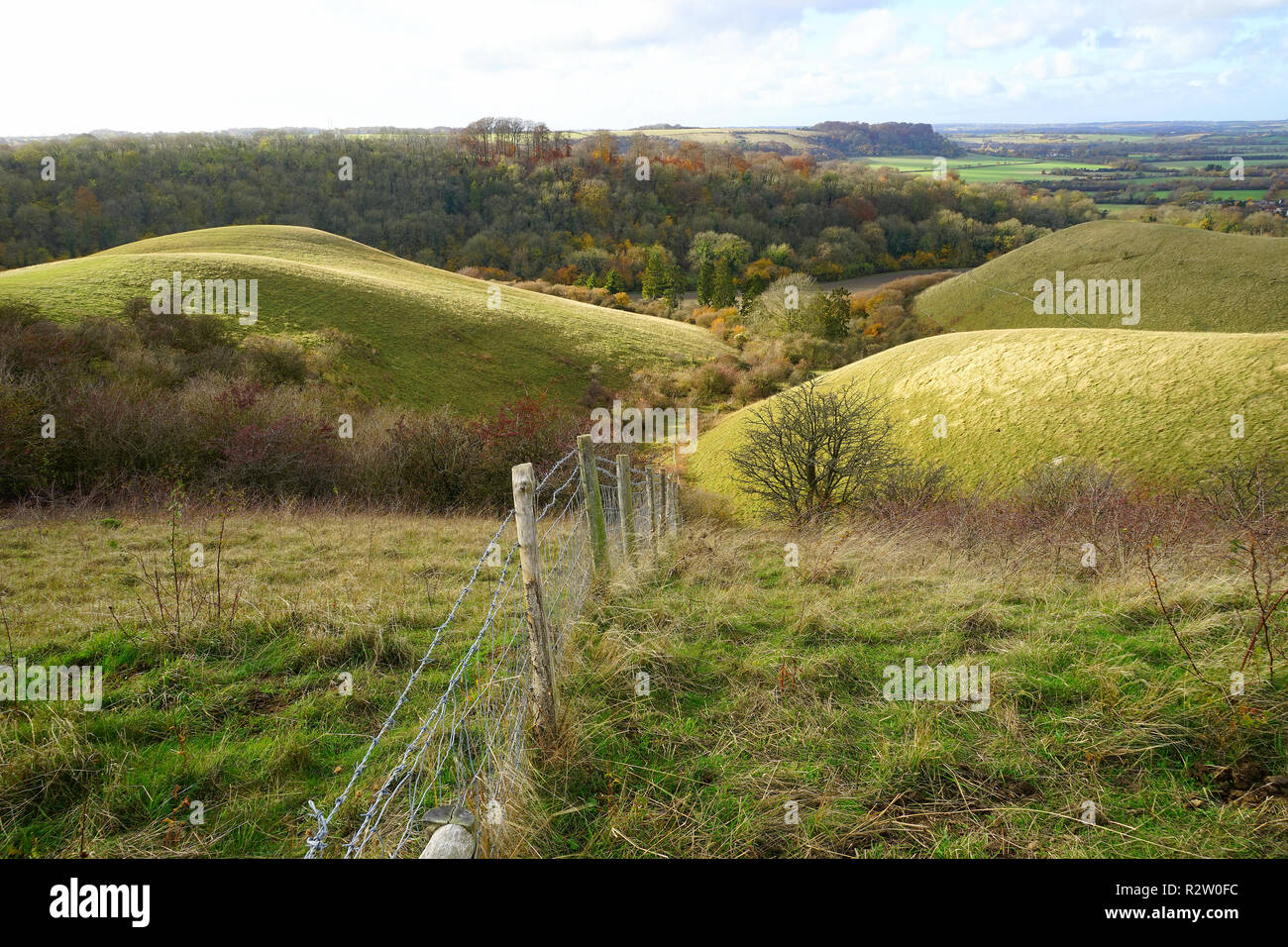 A fence disappears down a hill on the Barton Hills Nature Reserve ...