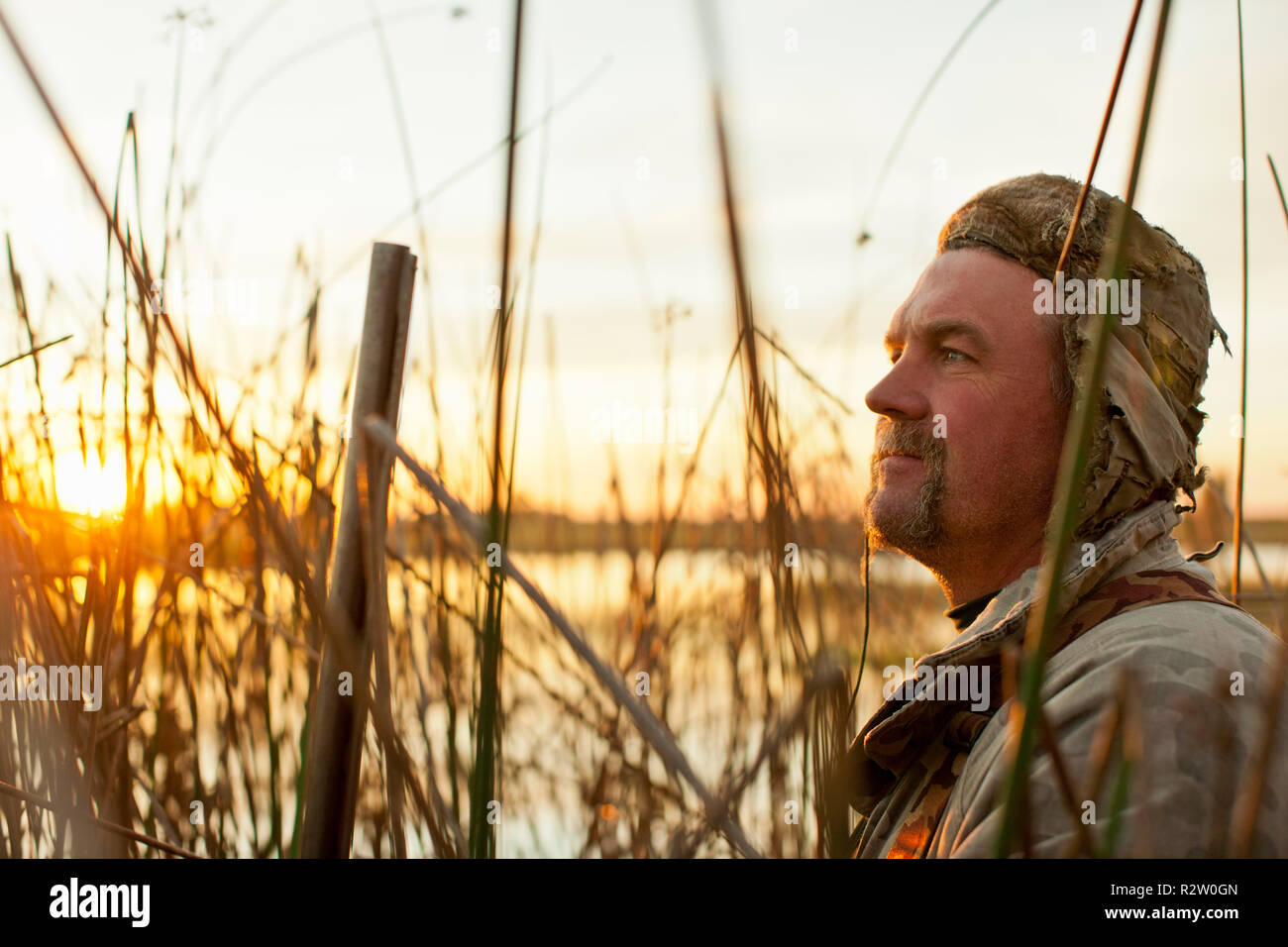 Duck hunts hi-res stock photography and images - Alamy