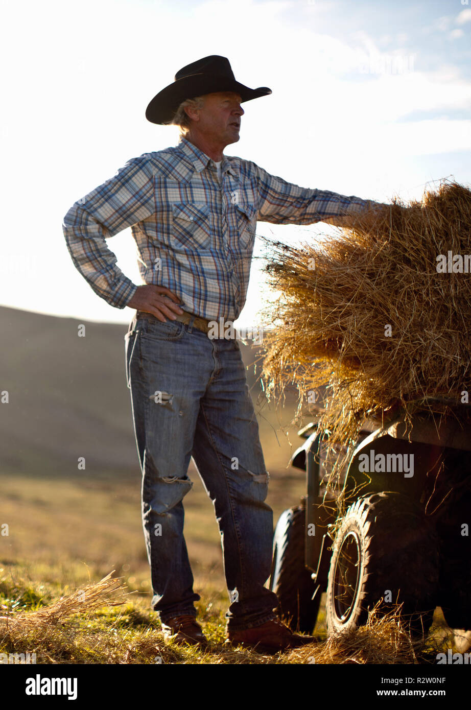 Piled high field hi-res stock photography and images - Alamy