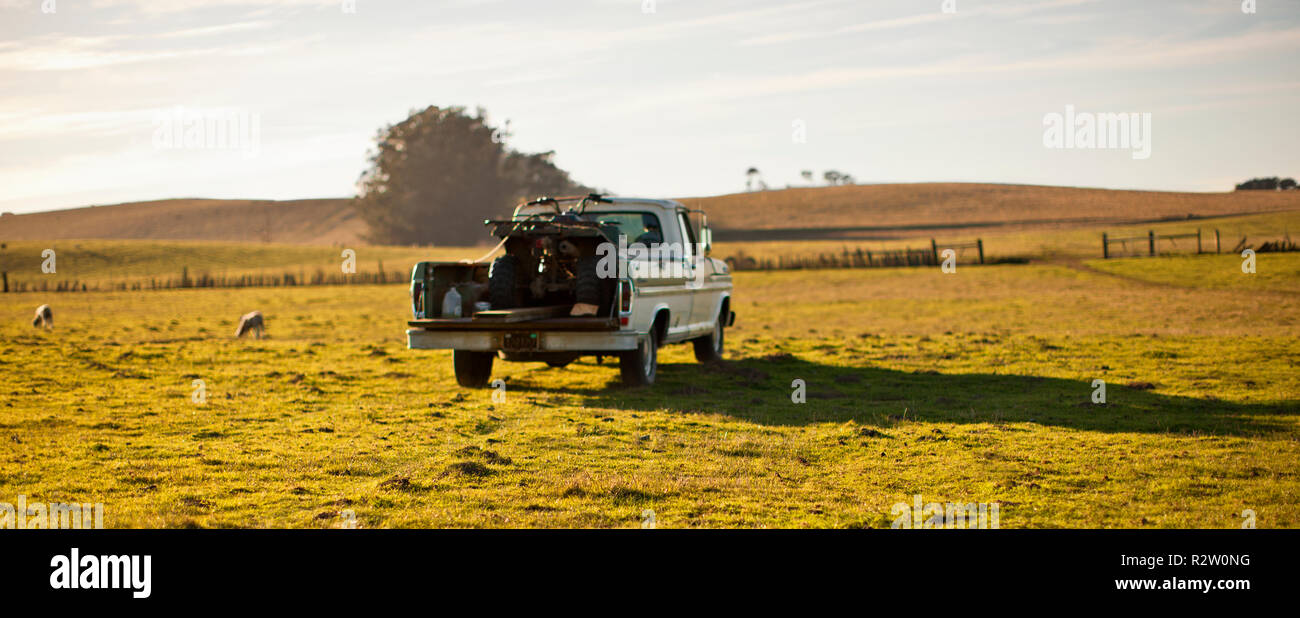 Pick-up truck on a farm with an all-terrain vehicle on the back Stock ...