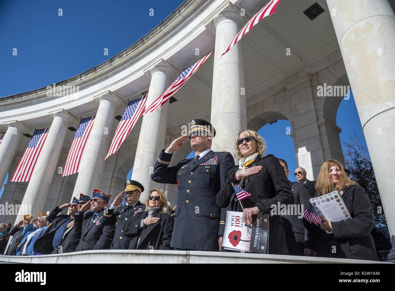 Visitors render honors during the Veterans Day Observation at Arlington ...