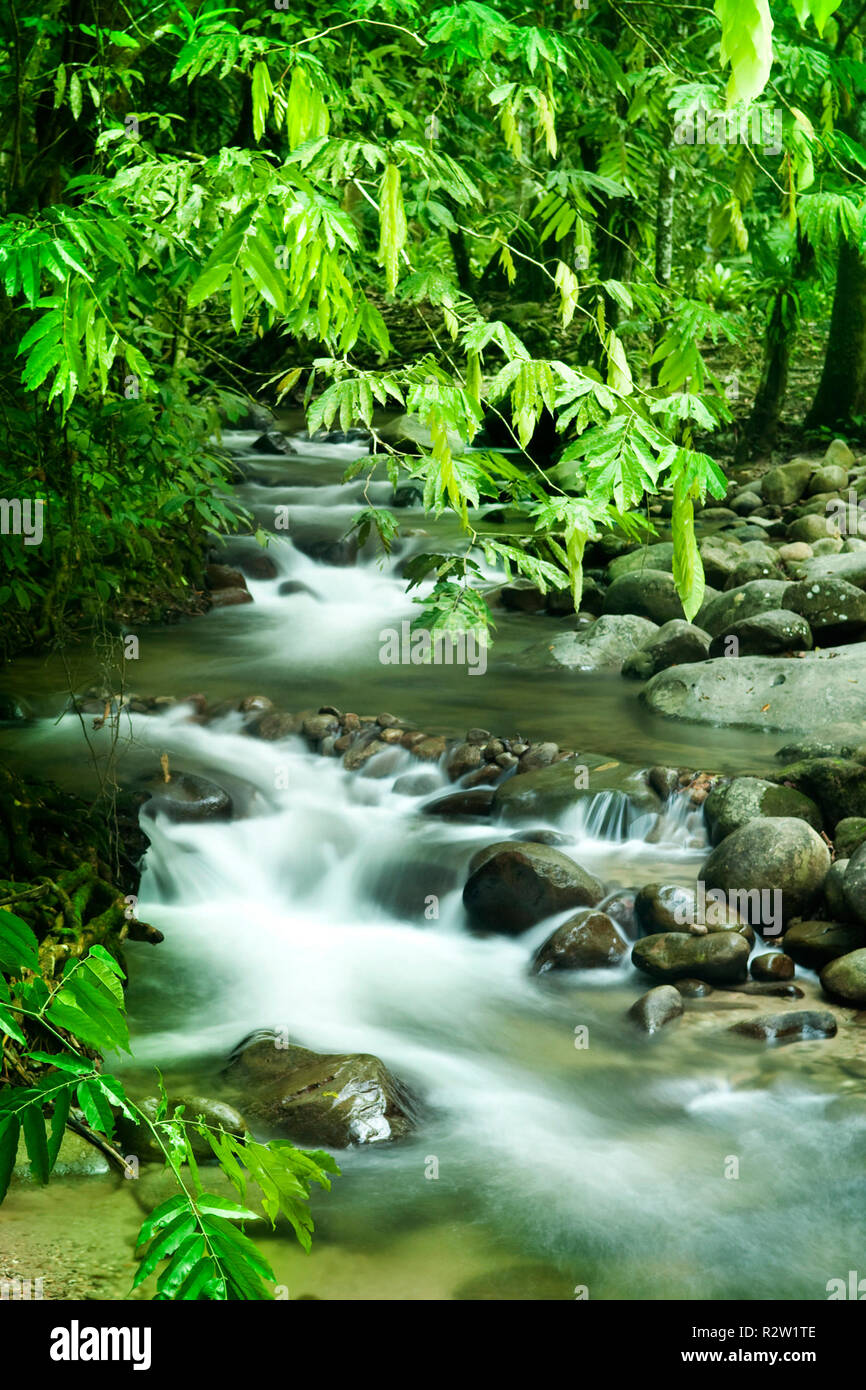 Beautiful waterfall lush jungle sunlight hi-res stock photography and ...