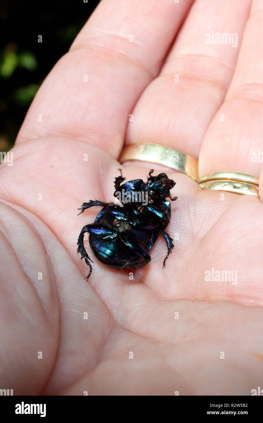 Supine position hi-res stock photography and images - Alamy