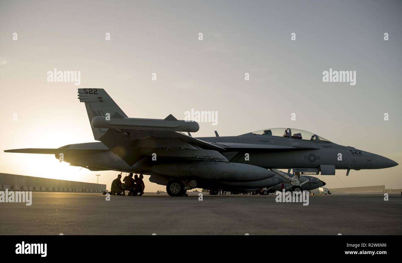 U.S. Navy maintainers assigned to Electronic Attack Squadron 135 (VAQ ...