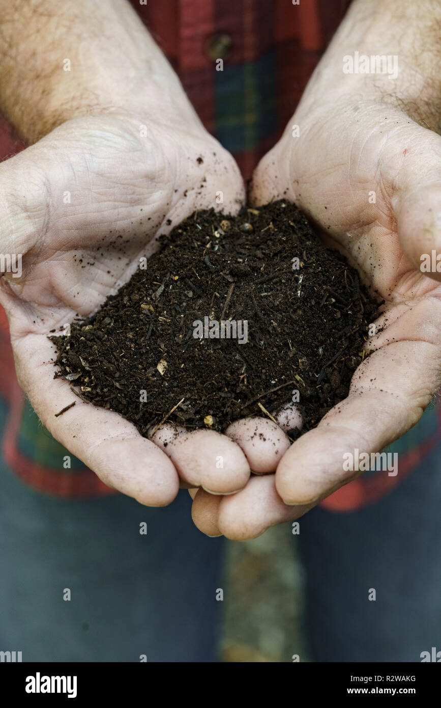 mans hands holding finished compost Stock Photo - Alamy