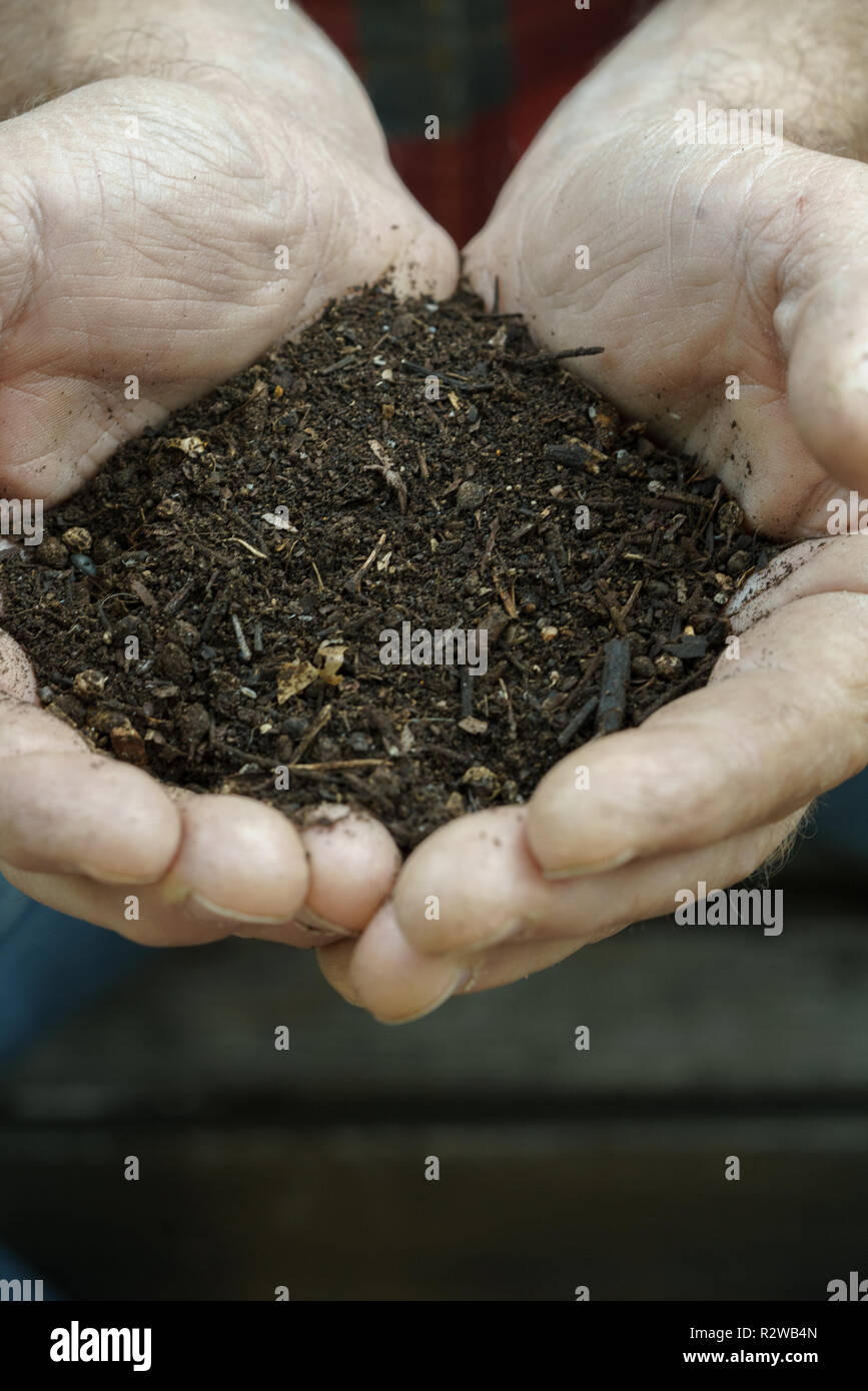 mans hands holding finished compost Stock Photo - Alamy