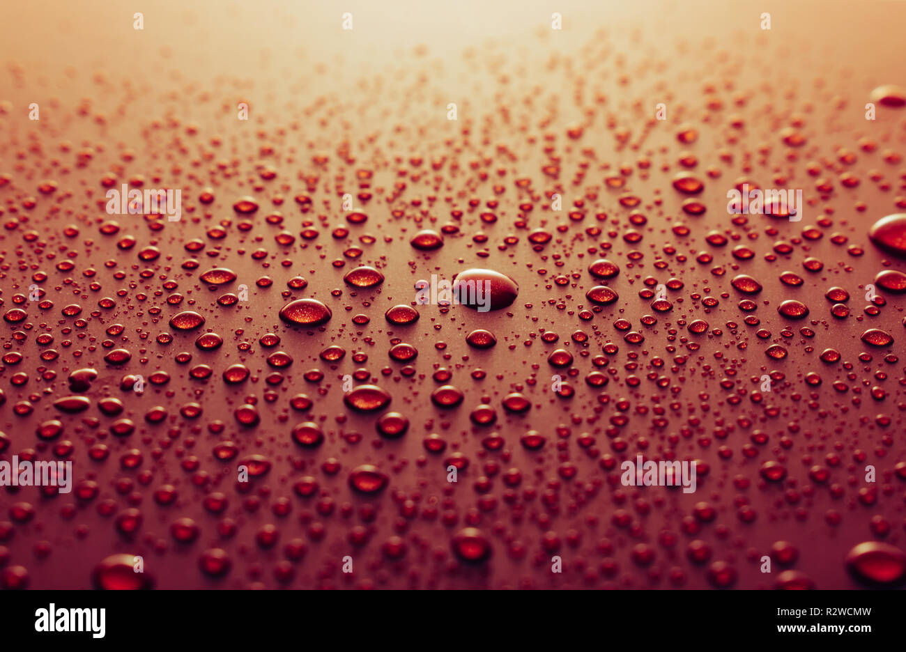 Water drops on a red background Stock Photo - Alamy