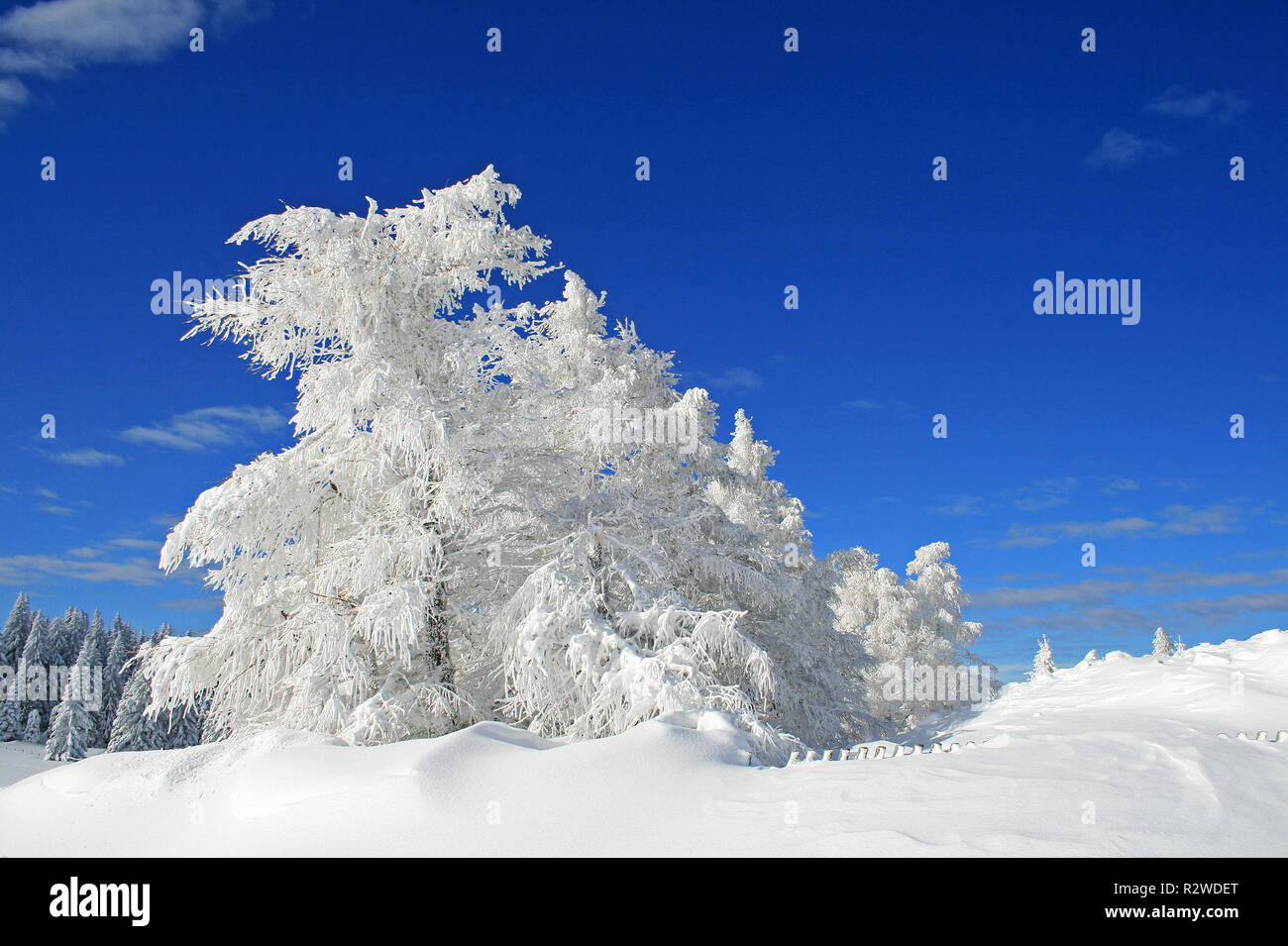winter in the alps Stock Photo - Alamy