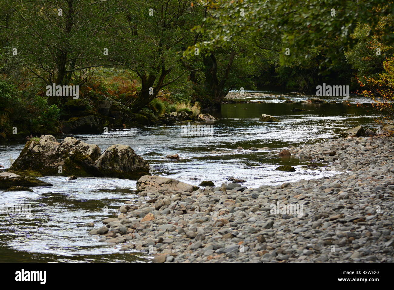 Mountain River Flowing Between Trees Stock Photo - Alamy
