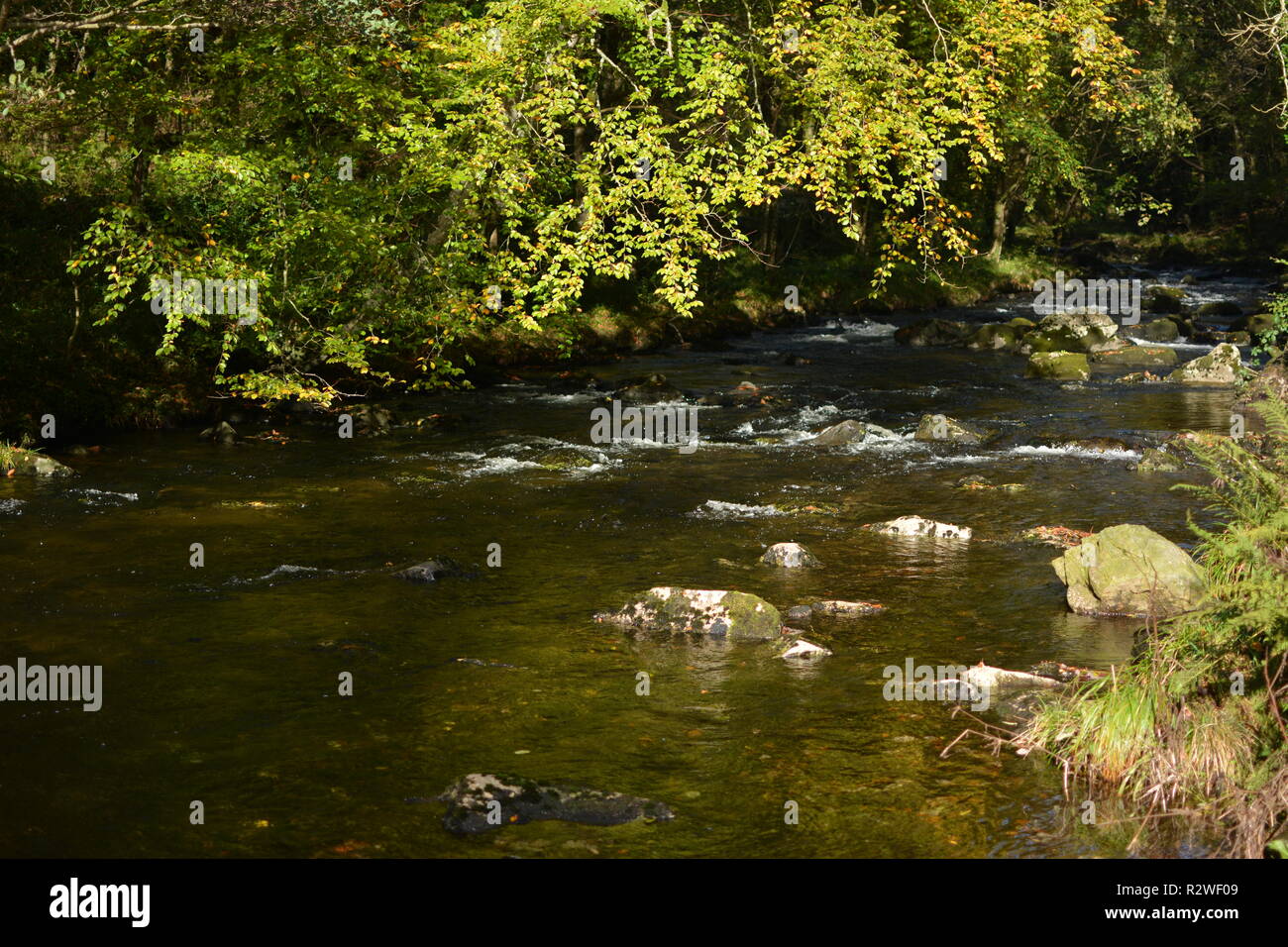 Beck river water riverbank hi-res stock photography and images - Alamy