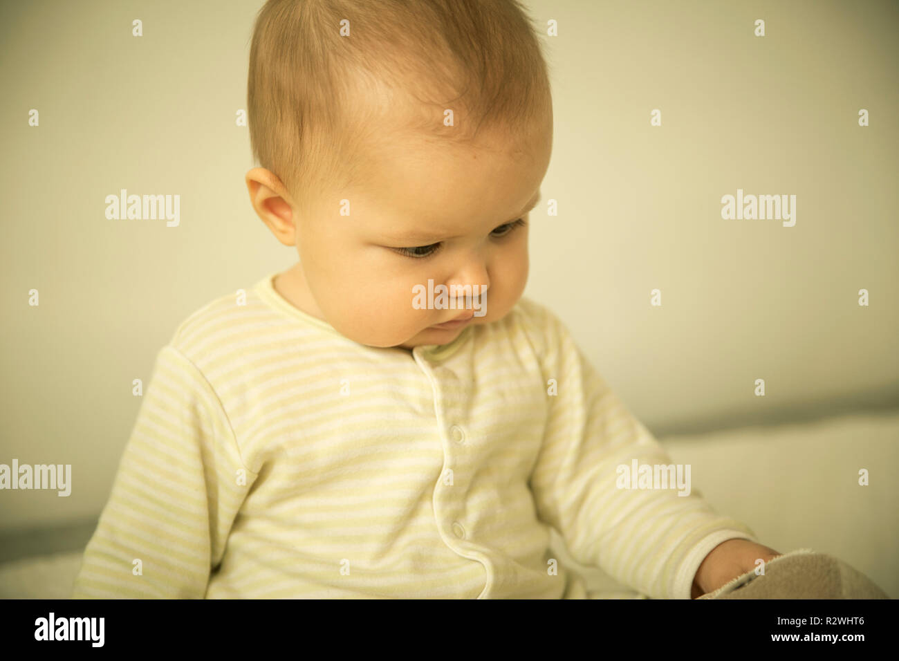 Focused cute hi-res stock photography and images - Alamy