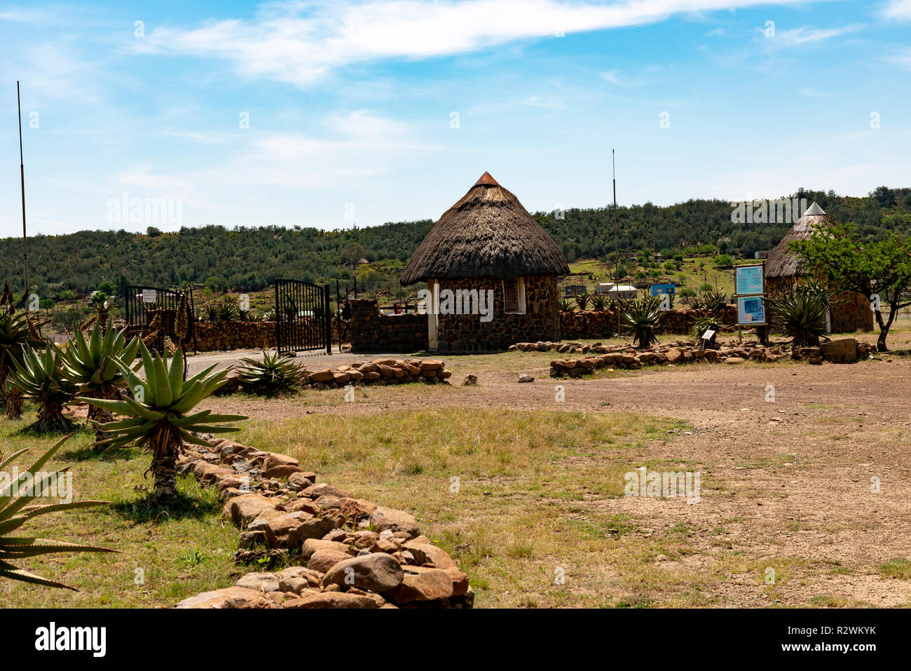 Zululand tree hi-res stock photography and images - Alamy
