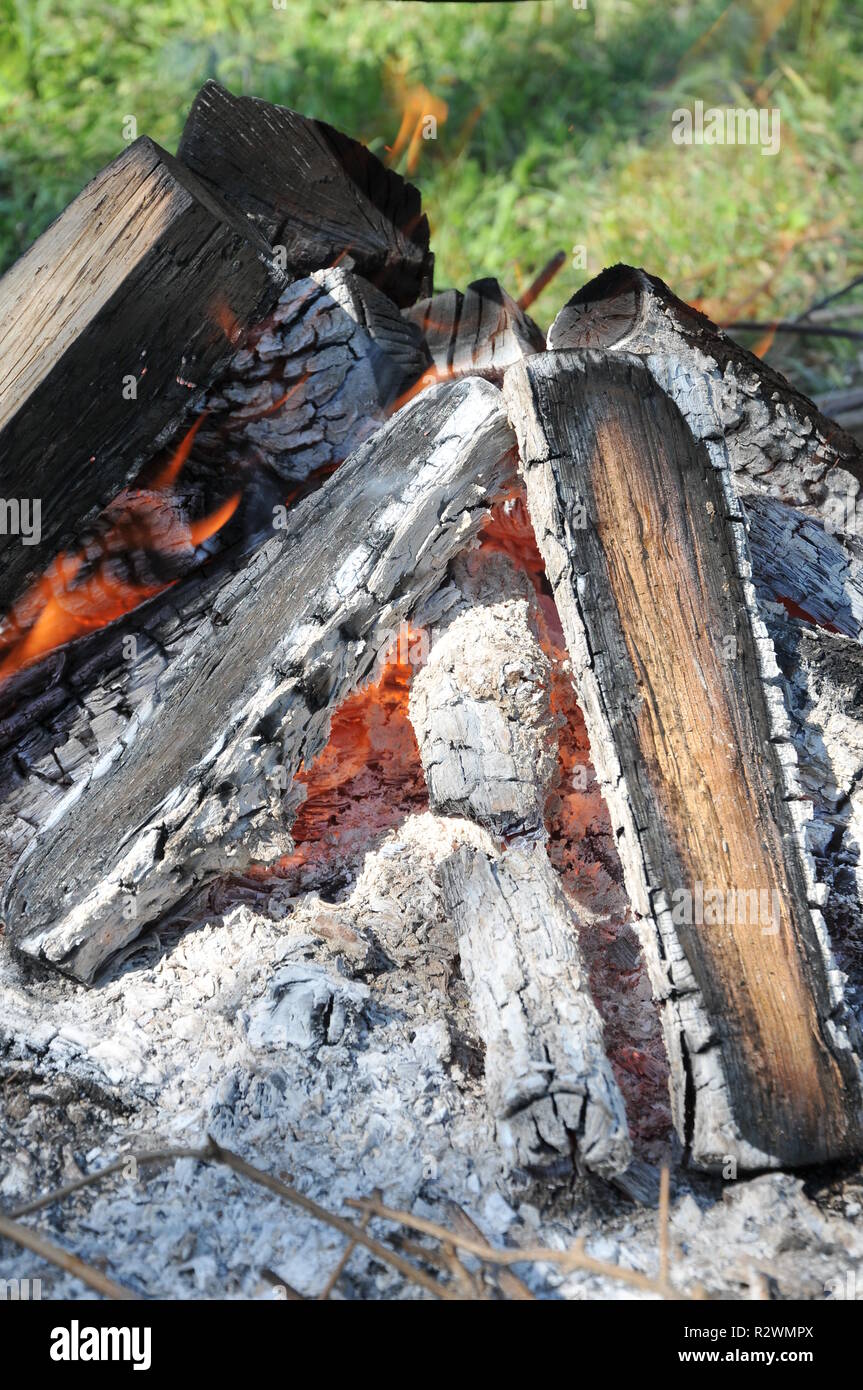 fire in nature from close Stock Photo - Alamy