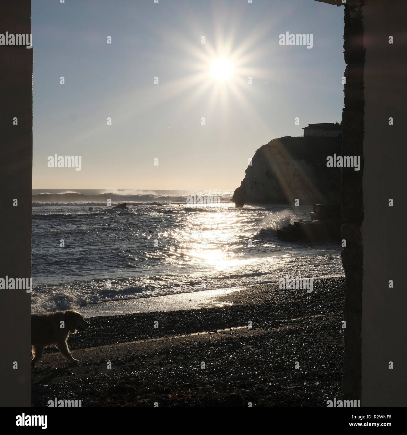 A dog crosses the beach at Freshwater Bay Isle of Wight with winter sun ...