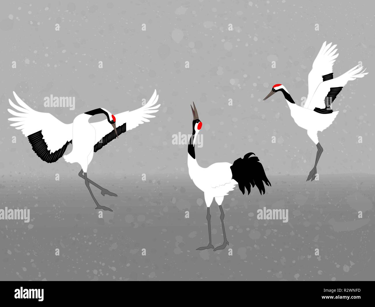 Red-crowned cranes on gray background, vector illustration Stock Vector ...