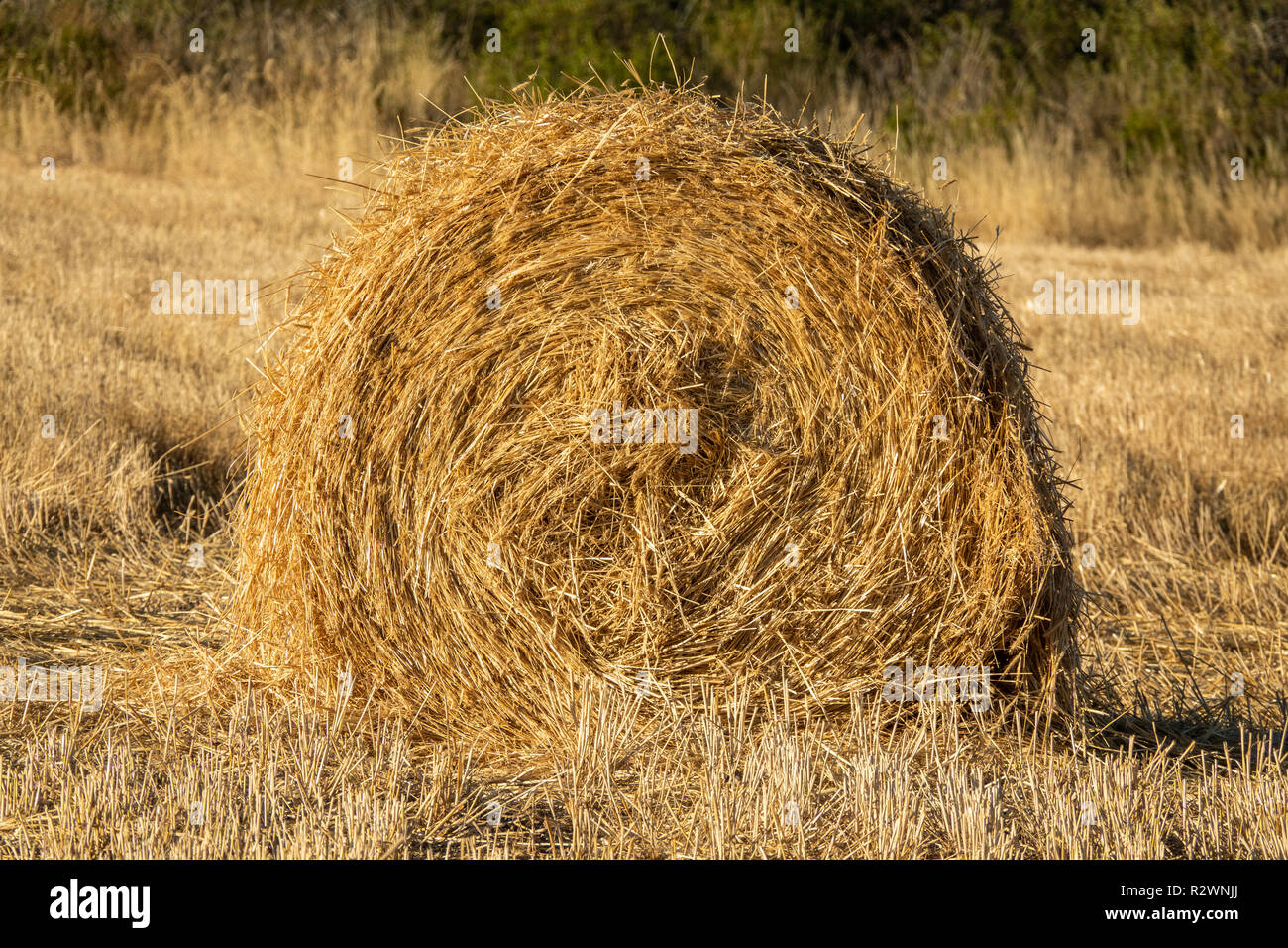 Side view of huge bale of straw Stock Photo - Alamy