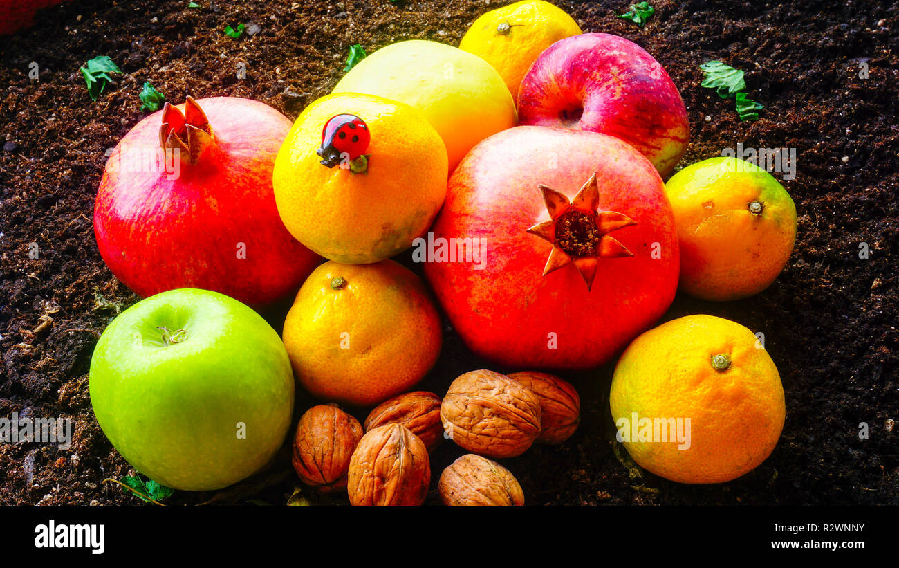 Group of fresh fruits hi-res stock photography and images - Alamy