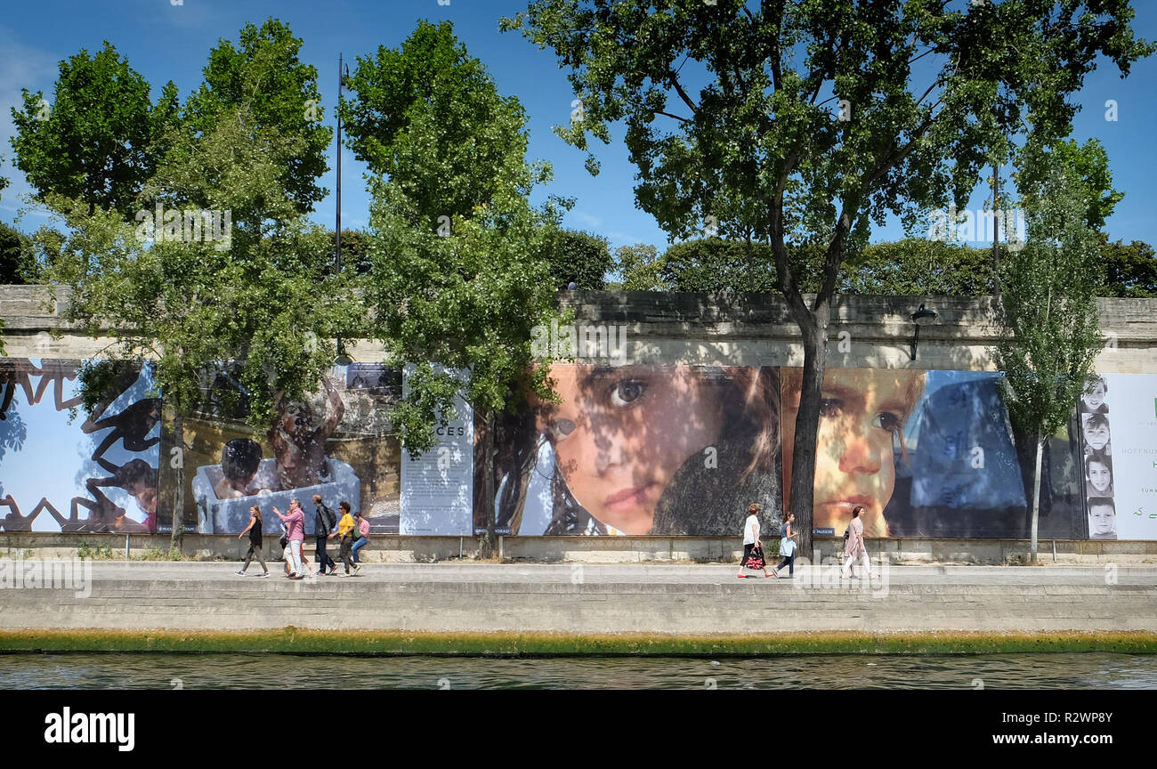 Seine river embankment trees hi-res stock photography and images - Alamy