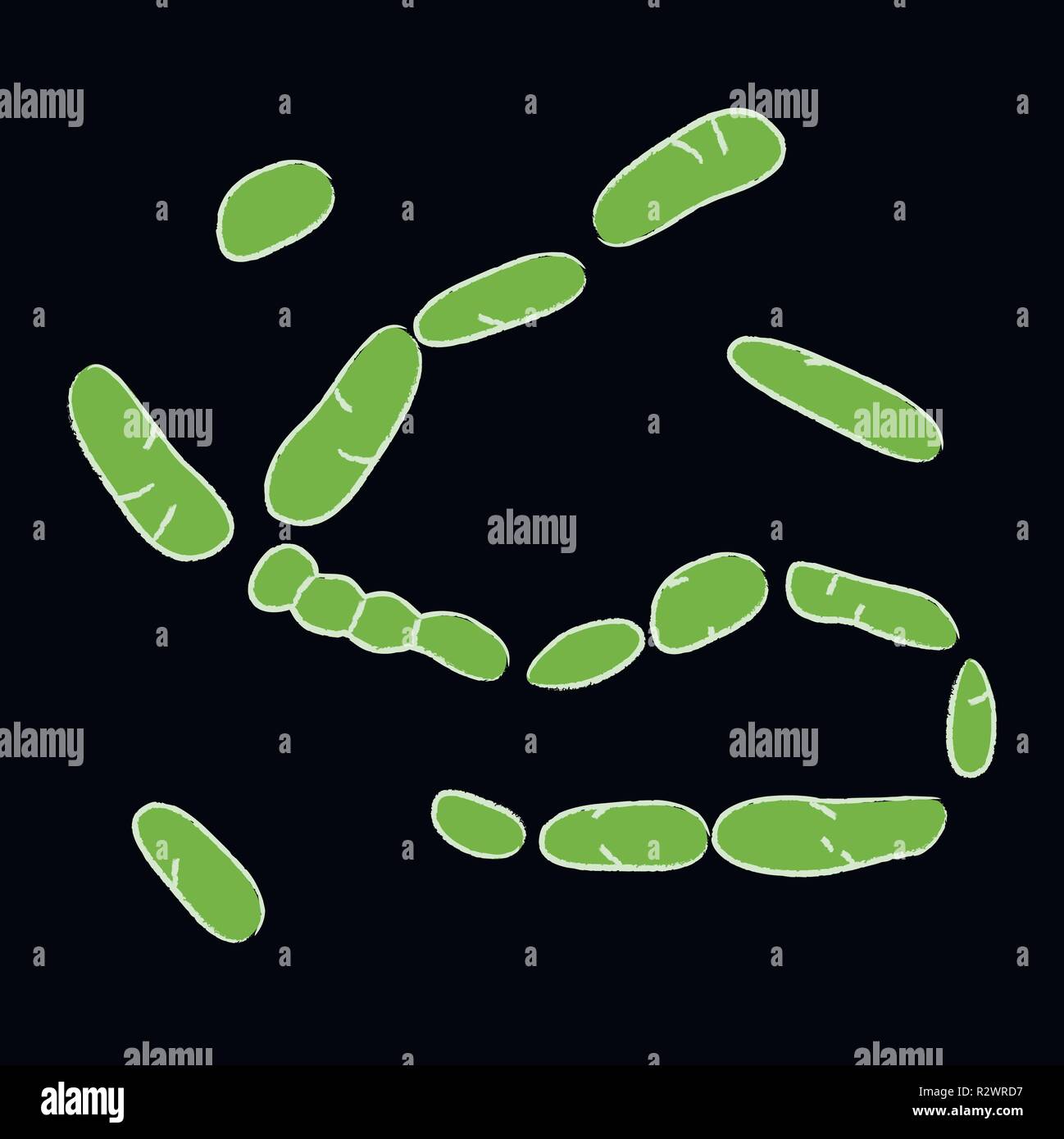 Prokaryotic Cell High Resolution Stock Photography and Images - Alamy