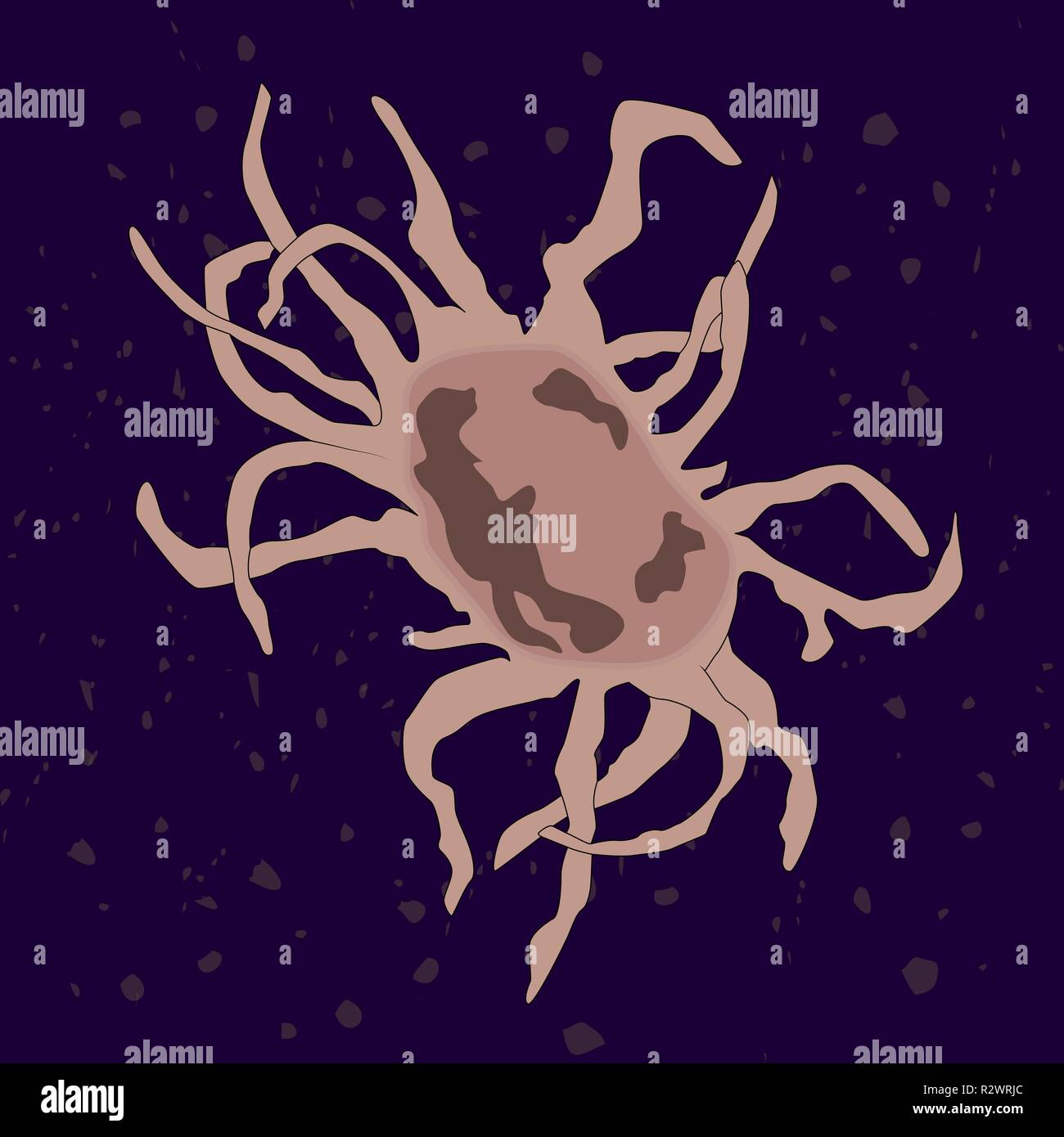 Vector illustration of single-celled eukaryote Acritarcha, Protozoa ...