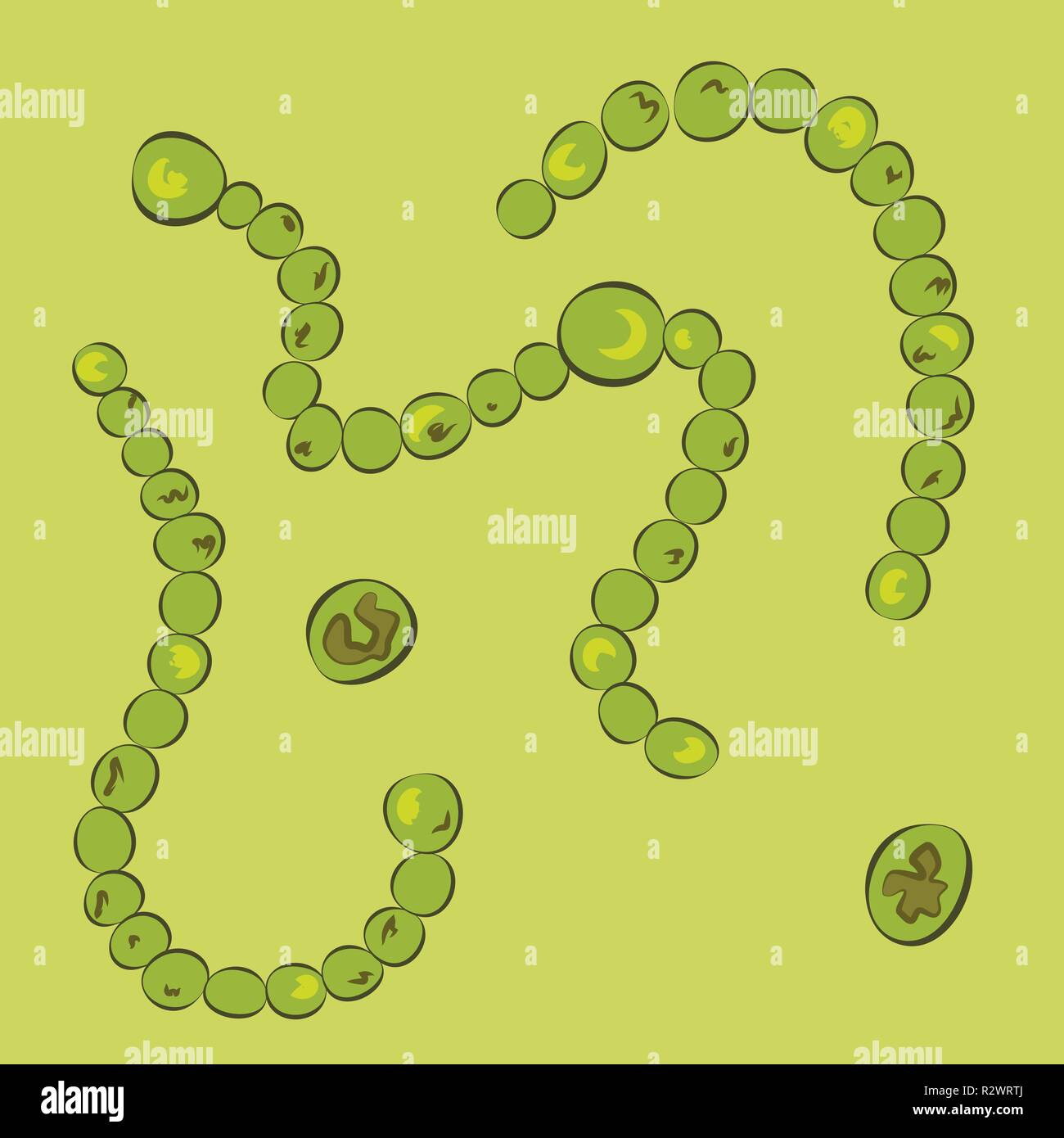 Cyanobacteria cell hi-res stock photography and images - Alamy