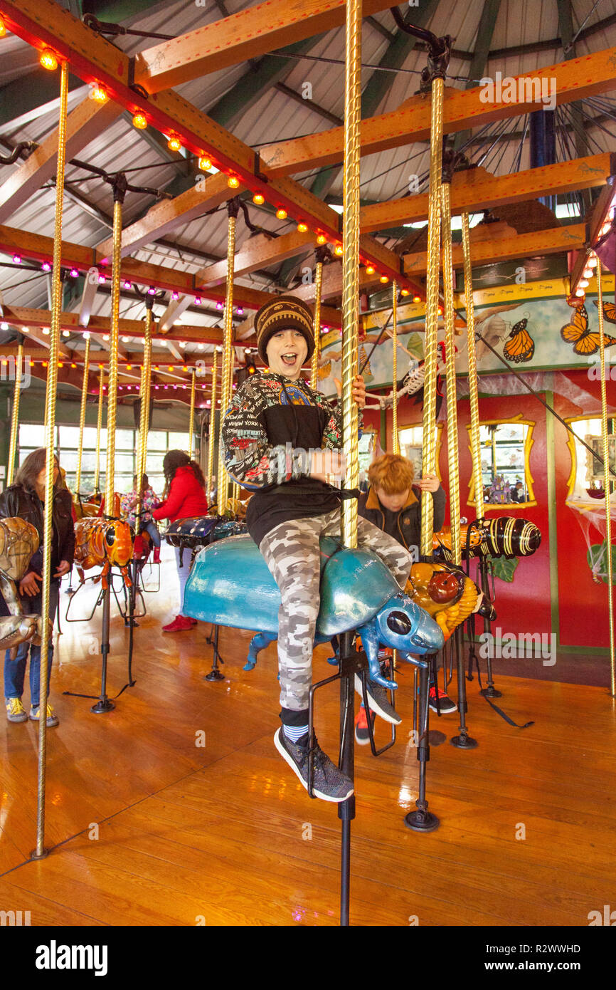 Nine year old boy riding the bug carousel at the Bronx Zoo, New York ...