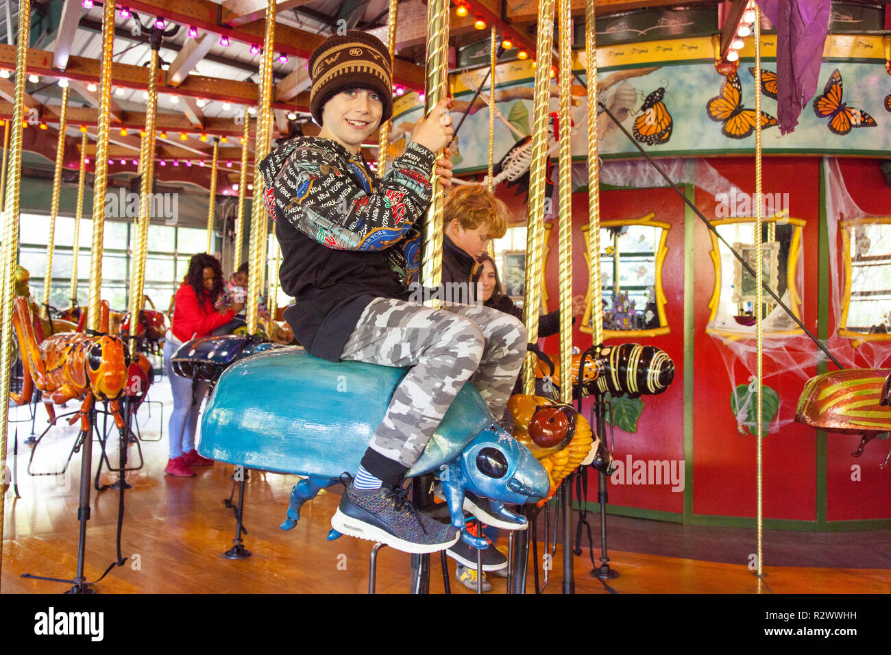 The bronx zoo new york hi-res stock photography and images - Alamy