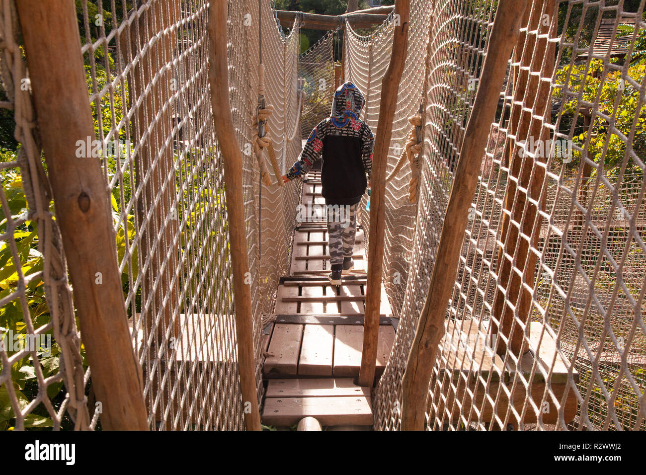 Bronx Zoo nature trek a elevated adventure walkway, Bronx Zoo, New York ...