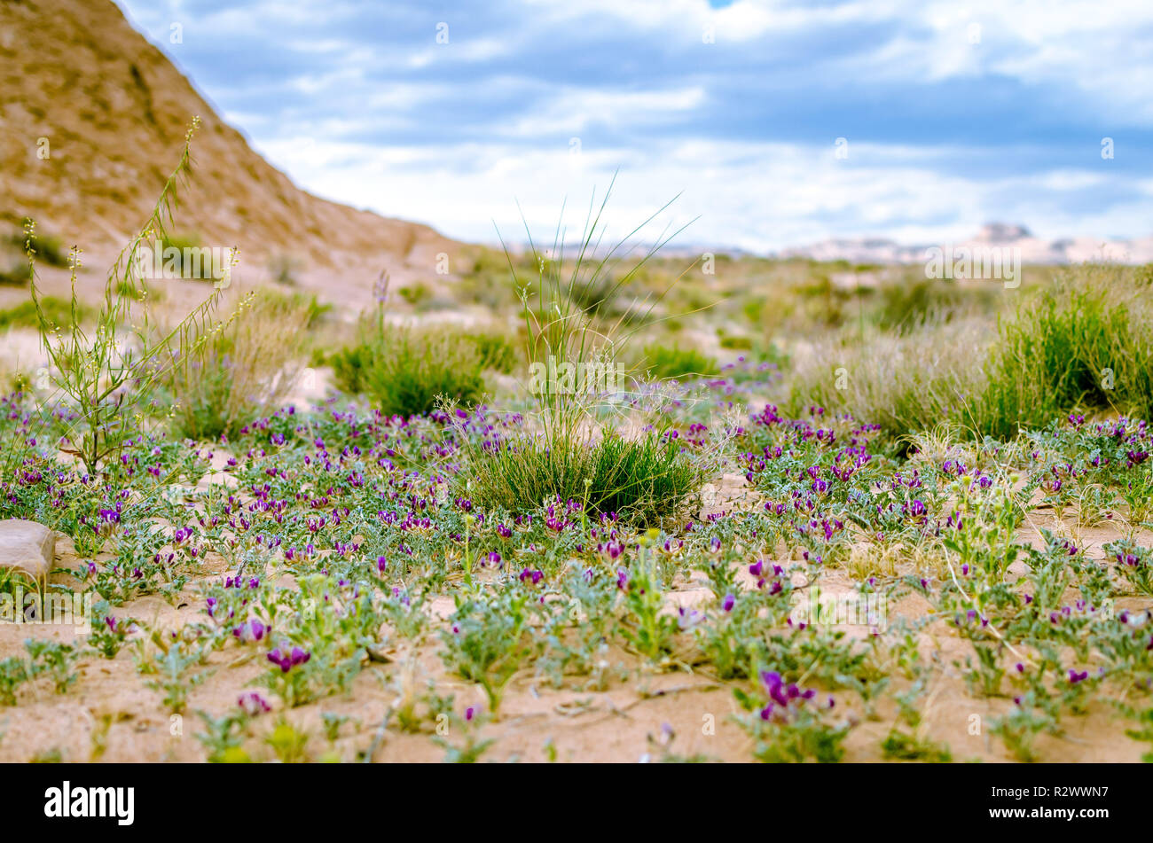 View from the ground Stock Photo - Alamy