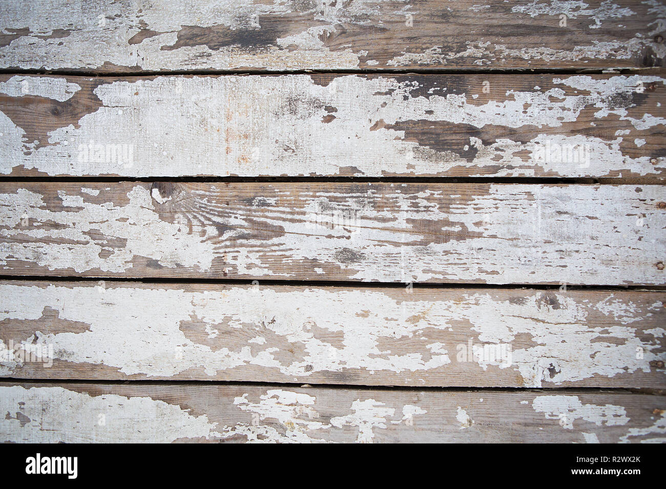 white texture of an aged tree, suitable for background Stock Photo - Alamy