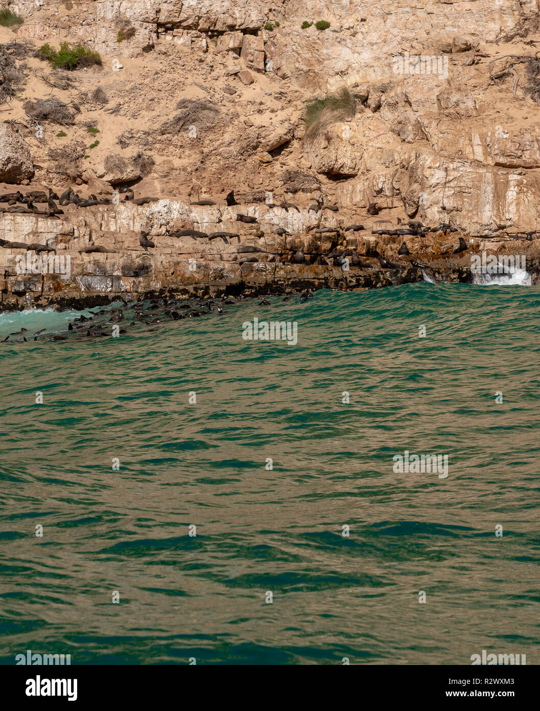 Robberg nature reserve hi-res stock photography and images - Alamy