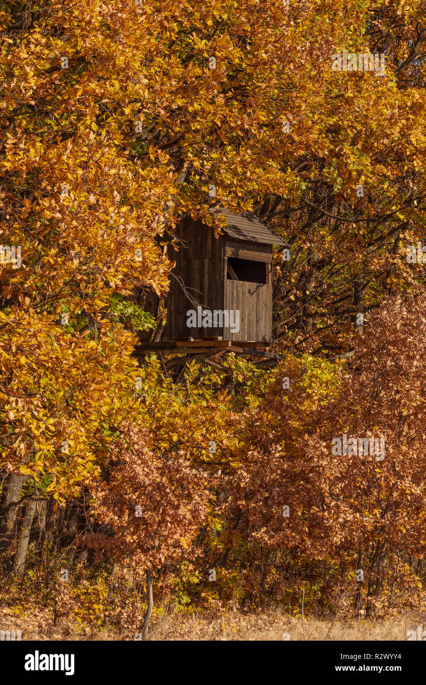Hunting tower in the autumn forest field perfect place to observing ...
