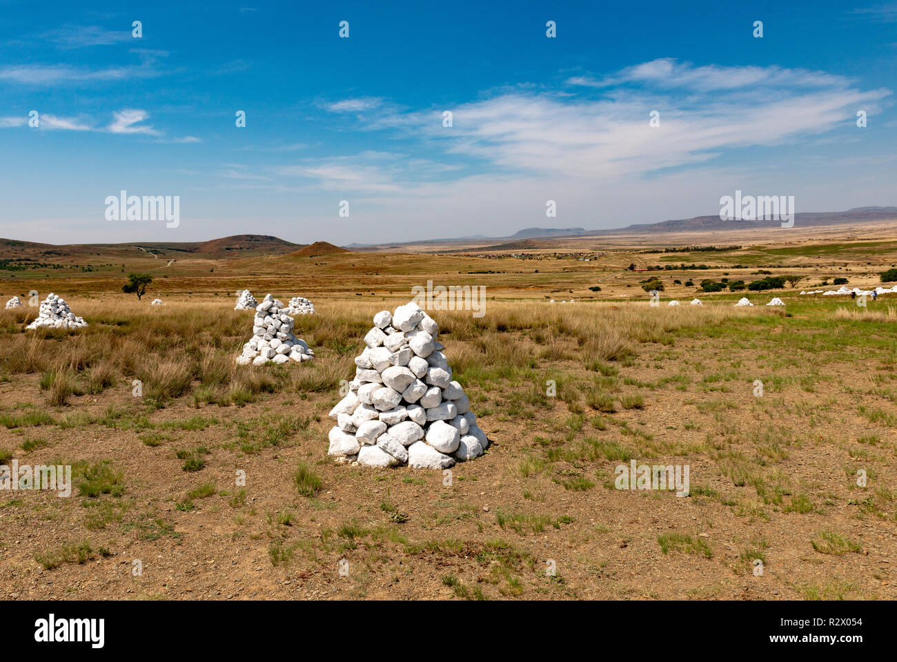 Zululand tree hi-res stock photography and images - Alamy