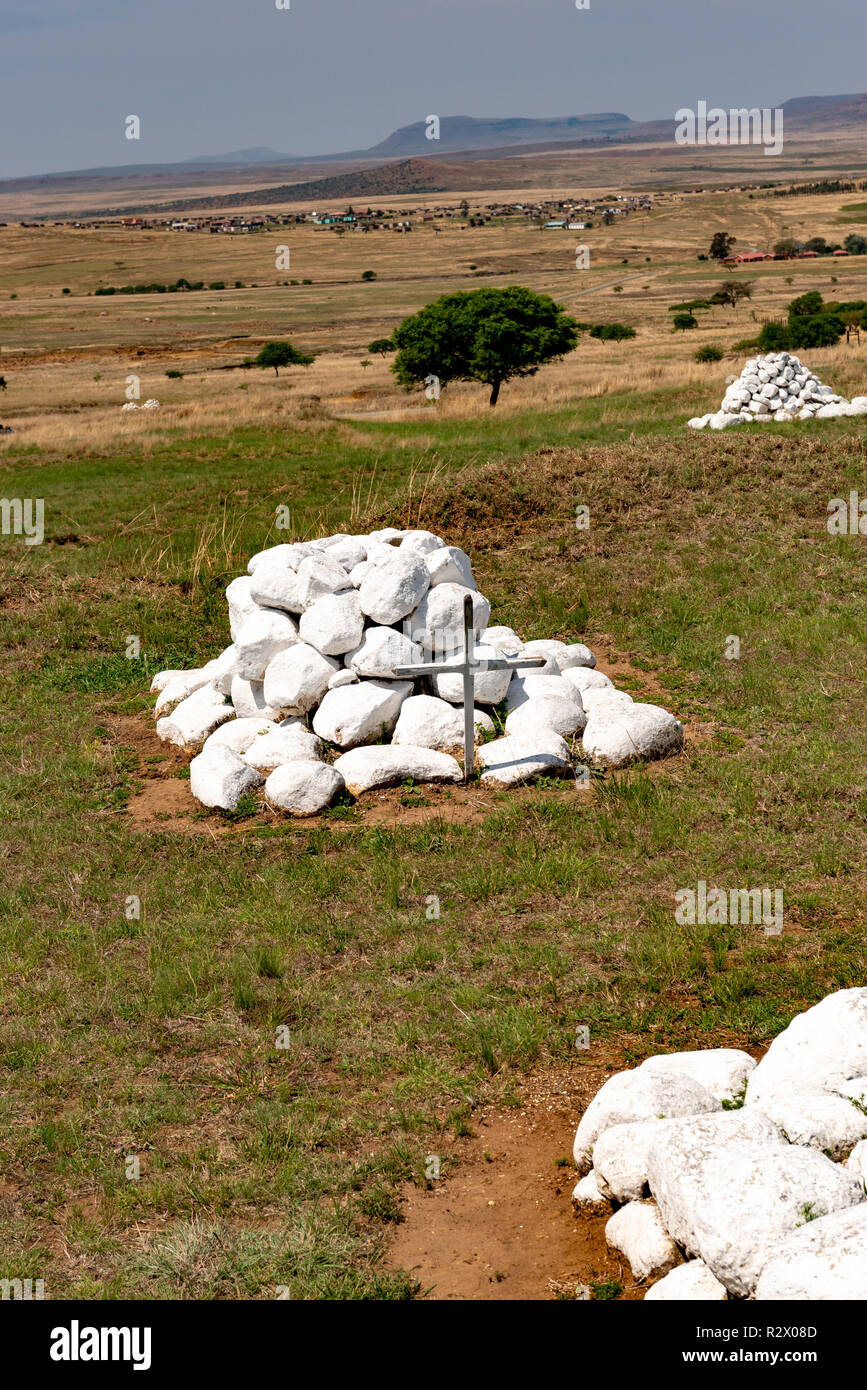 Zululand tree hi-res stock photography and images - Alamy