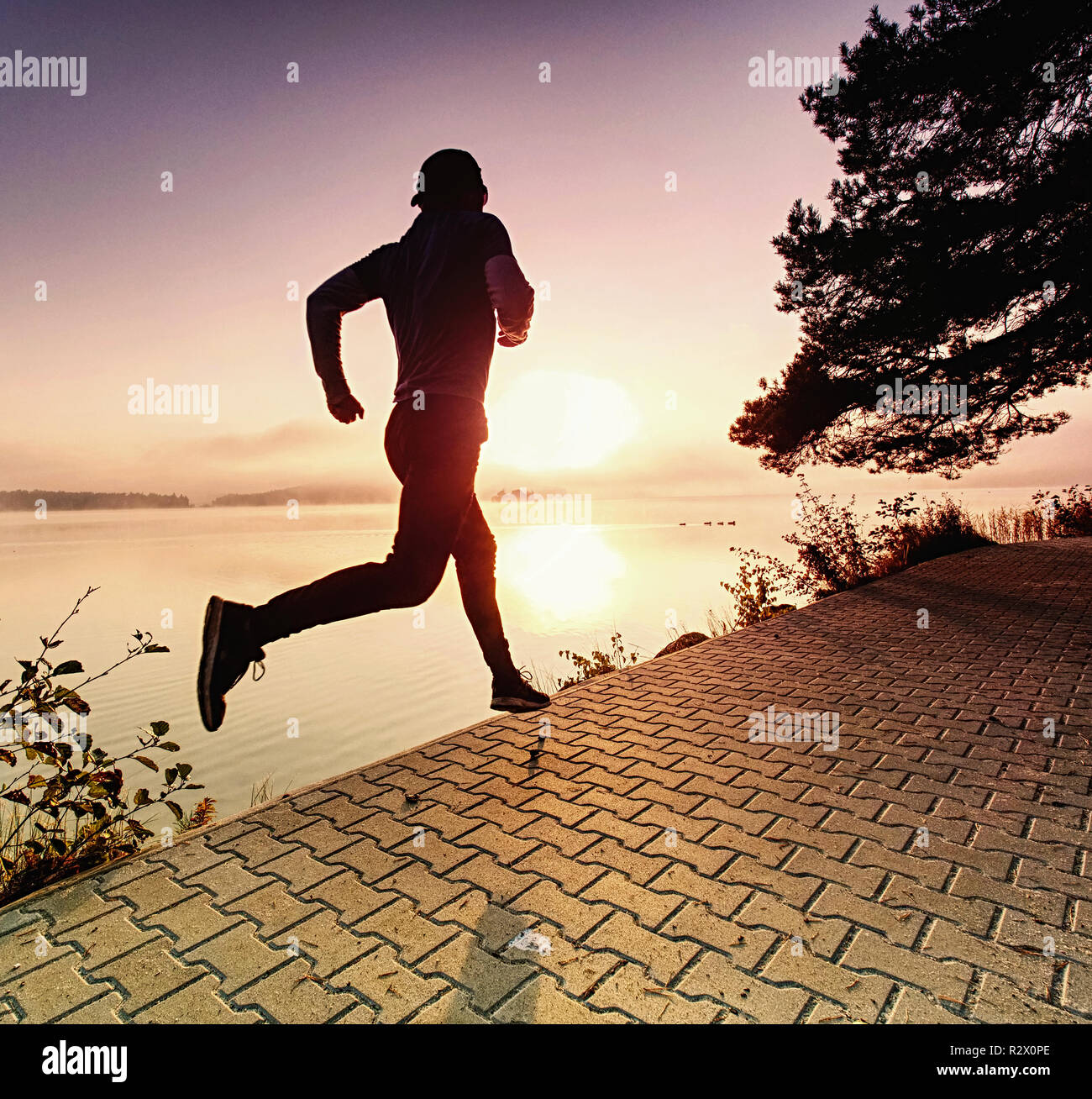 Regular run at lake. Man runner sprinting outdoor in scenic nature. Fit ...