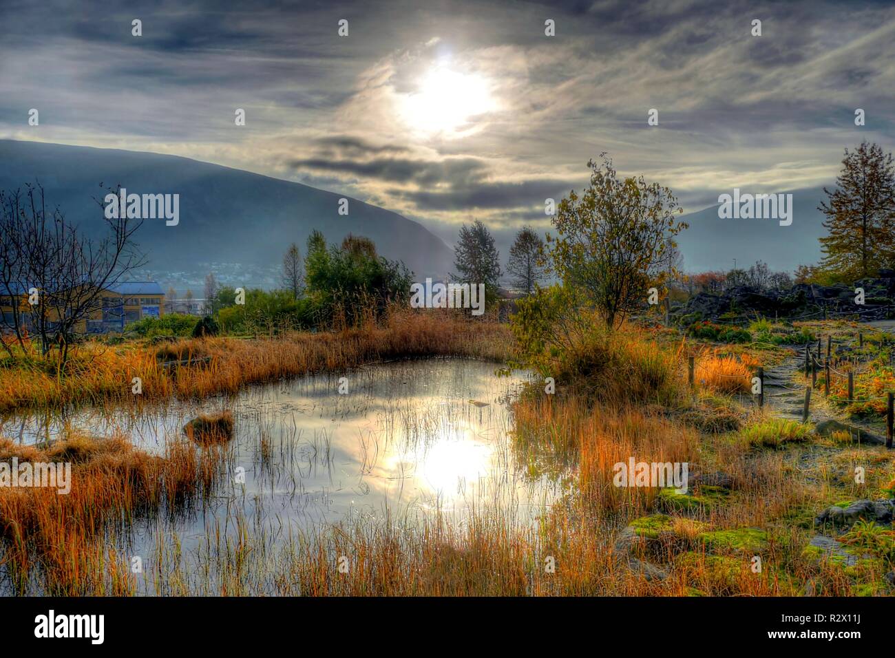 Tromso arctic garden hi-res stock photography and images - Alamy