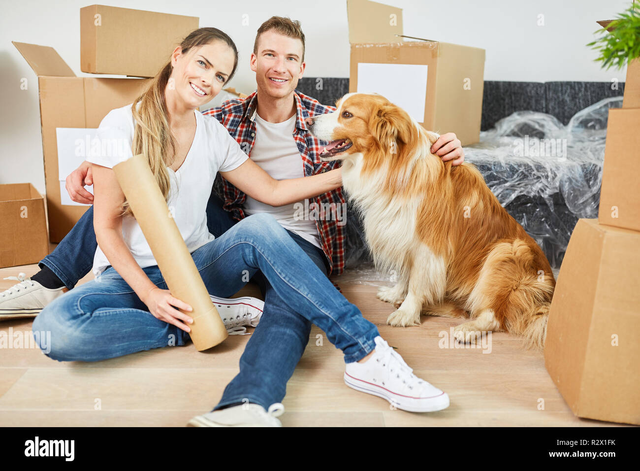 Happy couple with dog moving to new house with many moving boxes Stock ...