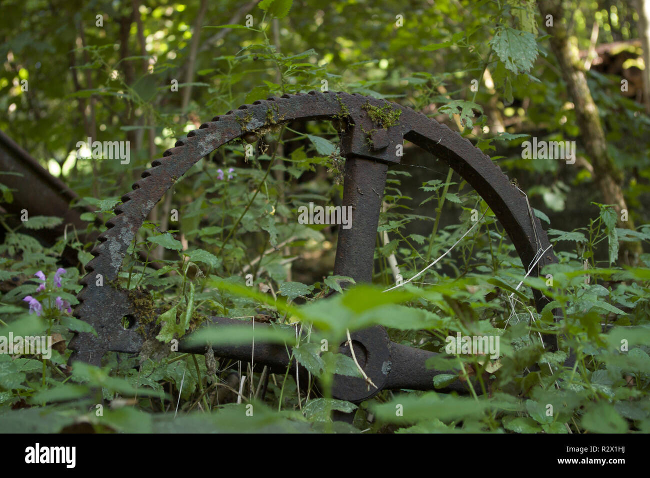 rusty gear wheel Stock Photo - Alamy