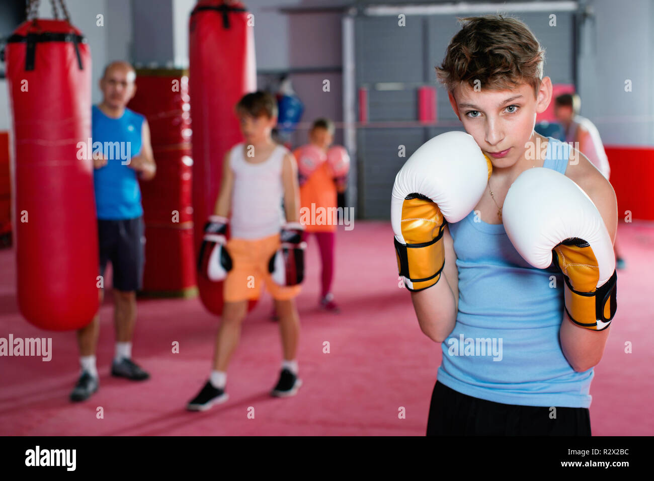 Portrait of diligent serious positive boy boxer wearing gloves at ...