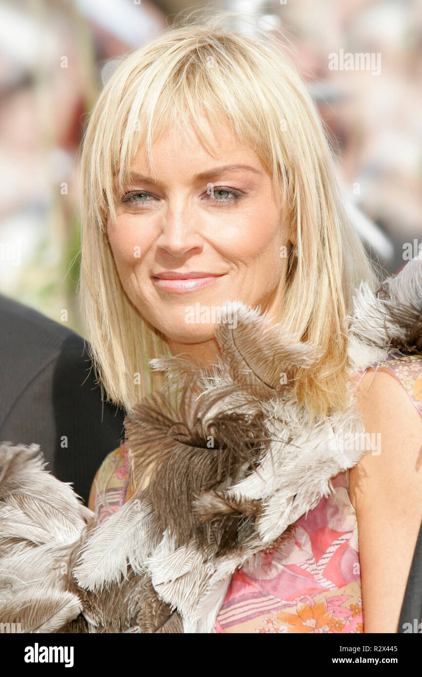 Sharon Berg's Instagram, Twitter & Facebook on IDCrawl