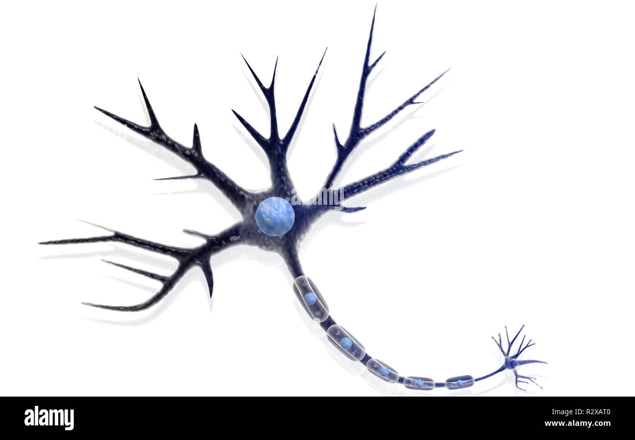 3d axon Cut Out Stock Images & Pictures - Alamy