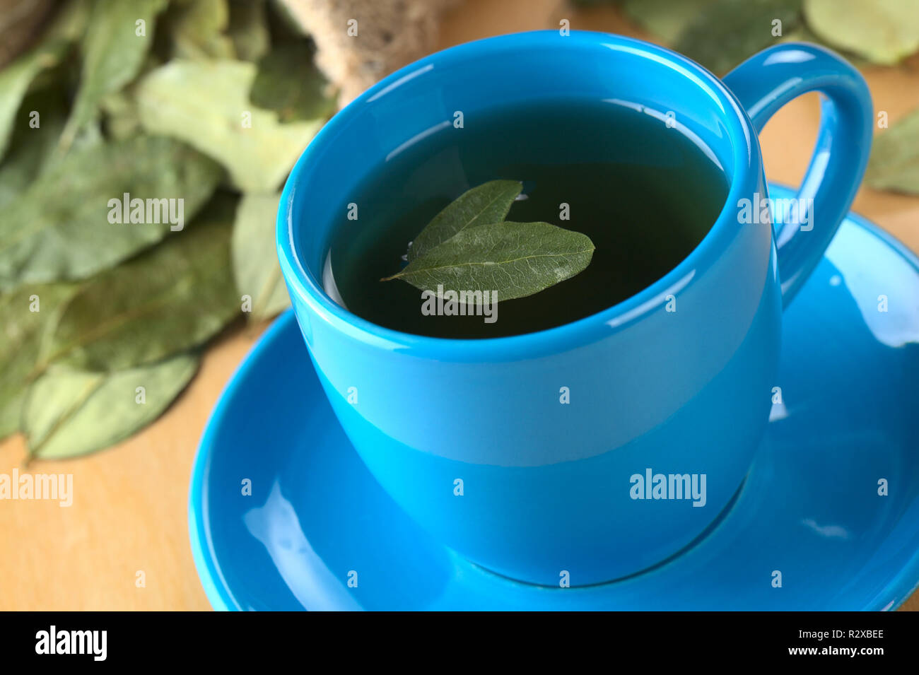 Coca plant tea hi-res stock photography and images - Alamy