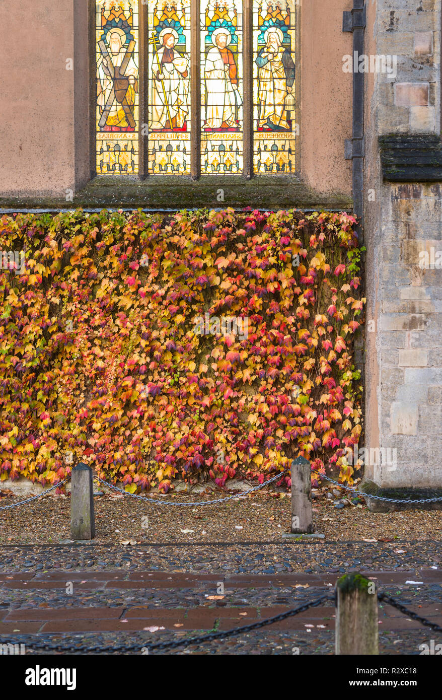 Trinity College chapel facade with Autumn colours. Cambridge University ...