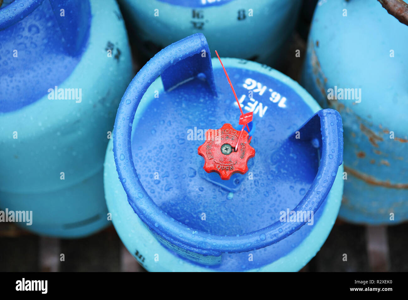 Fossil storage room hi-res stock photography and images - Alamy